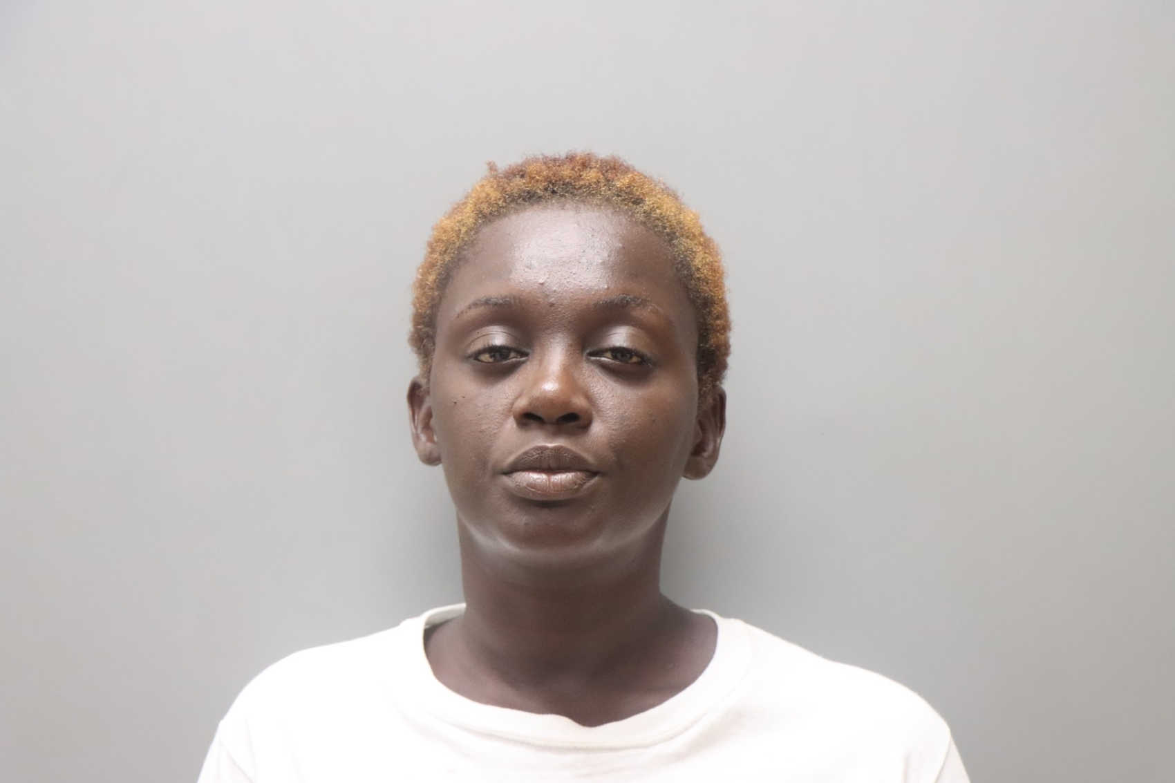 Woman Arrested Again for Fraud Months After Receiving A Suspended ...