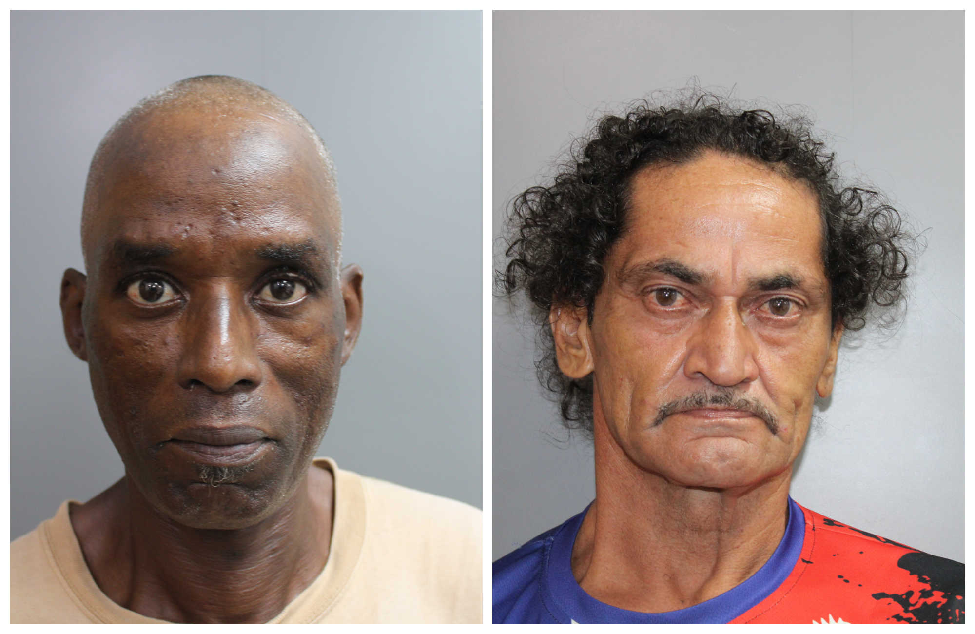 Men Arrested on Grand Larceny Charges For Kmart Heist Caught on Camera