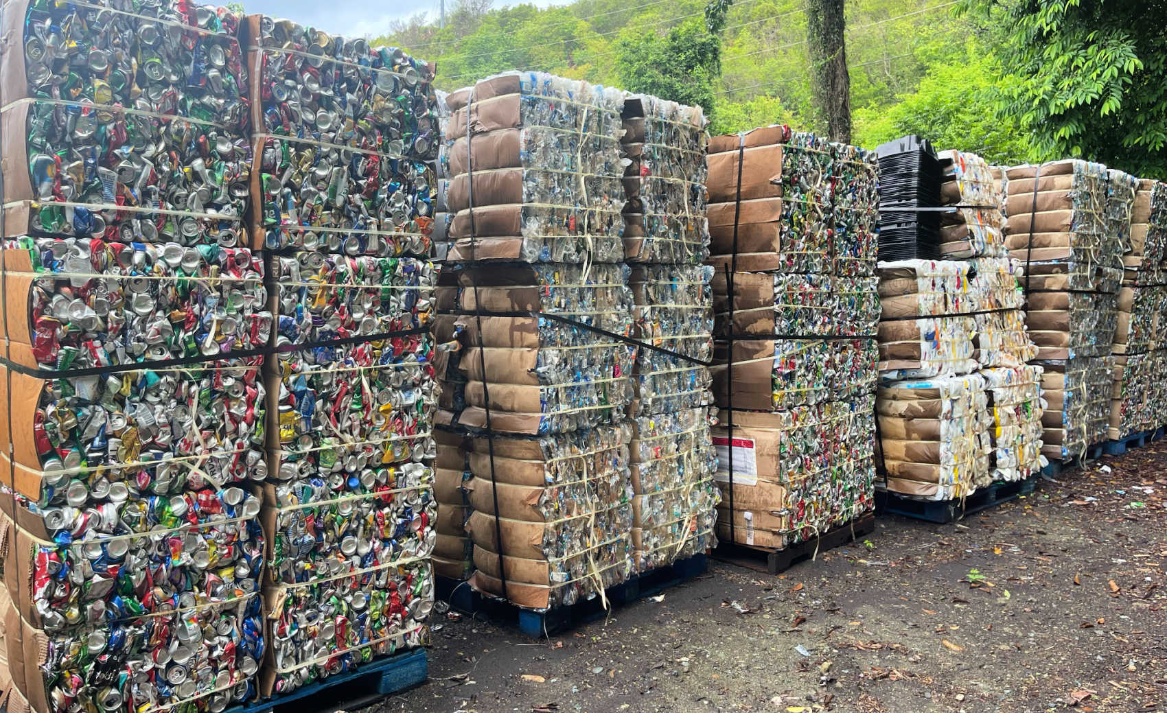 Island Green Living Recycles Nearly 1 Million Cans and 45,000 Pounds of ...