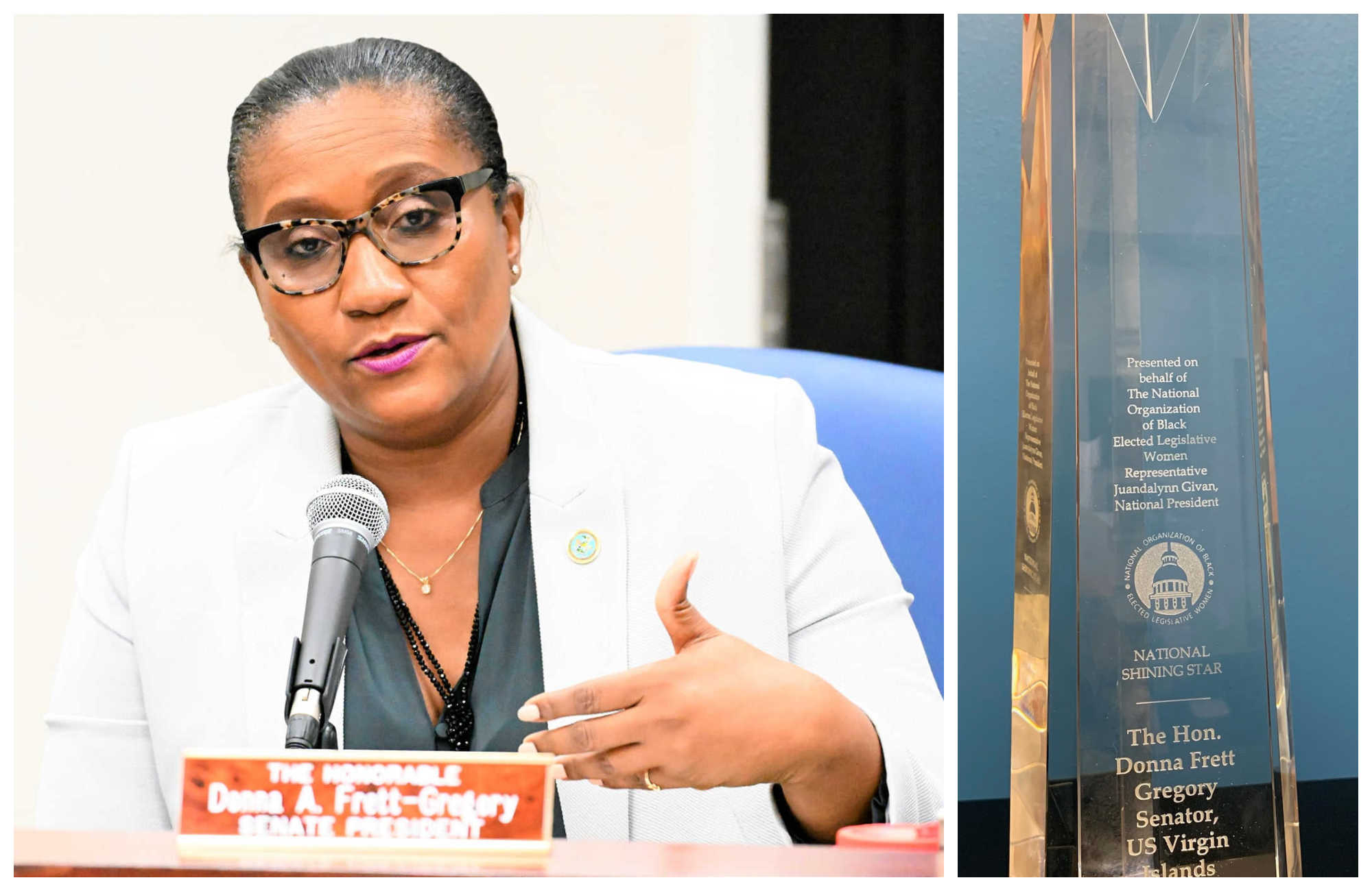 Frett-Gregory Honored with 2023 National Shining Star Award by N.O.B.E ...