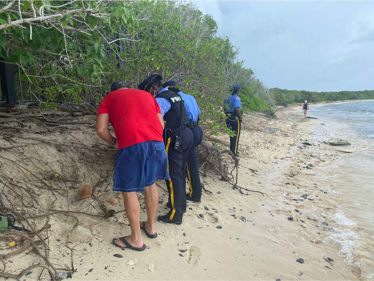 Watch: Skull, Bones, Discovered at Coakley Bay