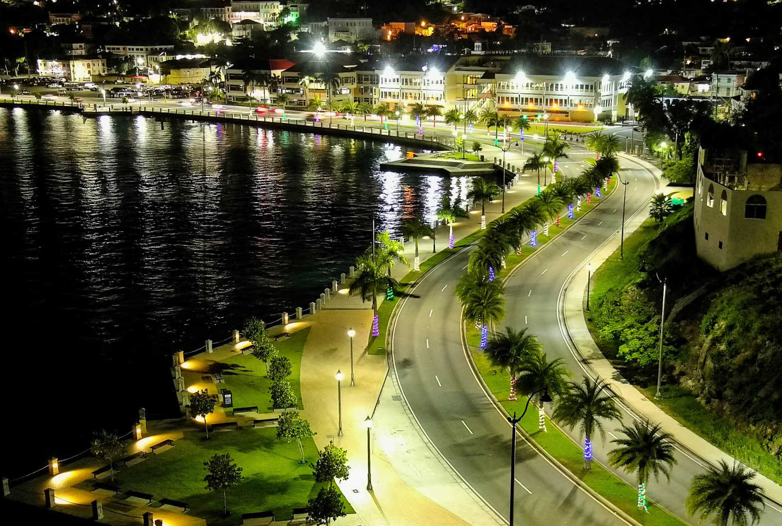 Veterans Drive Says Merry Christmas With Twinkling Lights on Nearly 200 ...