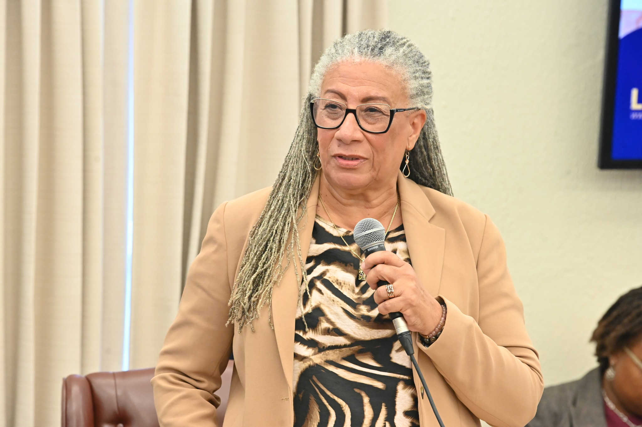 Senate Halts Bill Allowing Government Employees to Seek Office ...